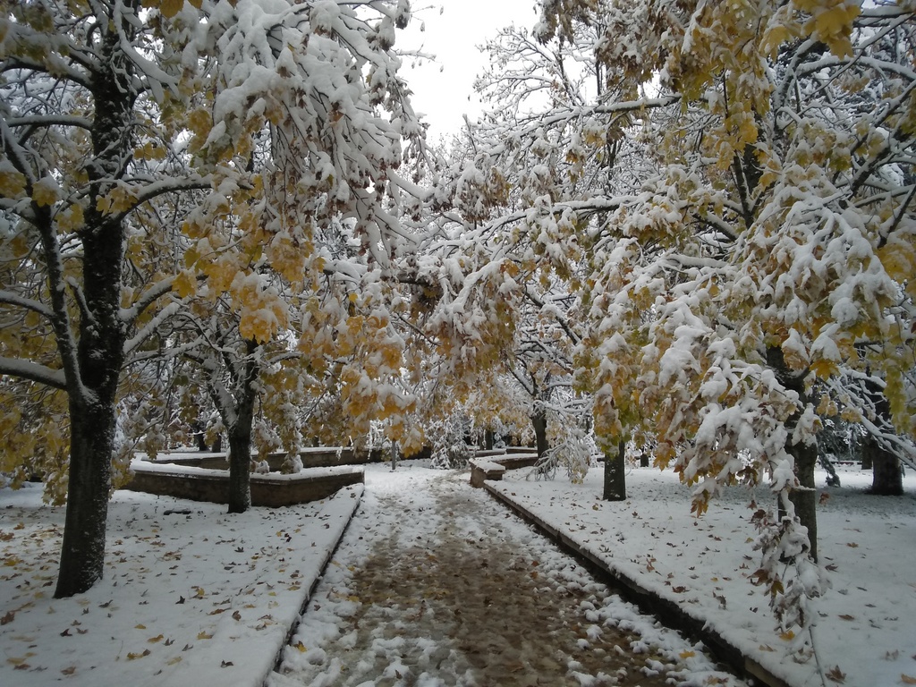 L’HIVER 2020 S’ANNONCE RUDE DANS LA PROVINCE D’IFRANE ET SA REGION DU ...