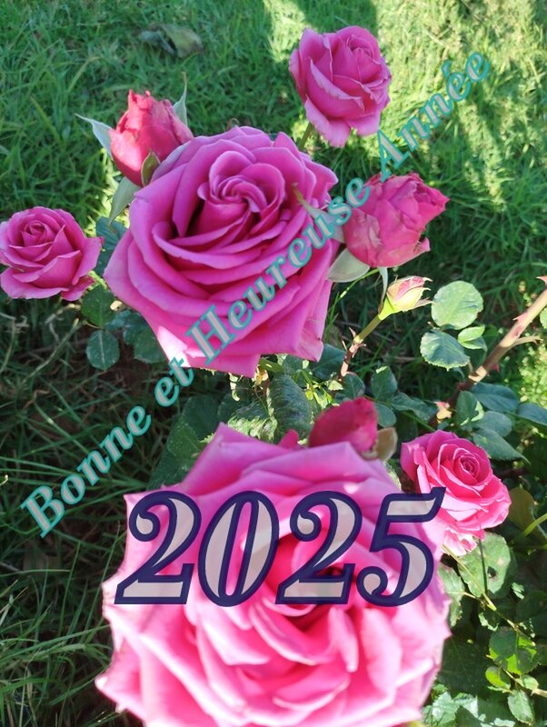 ماذا تخفي السنة الجديدة 2025" للمغاربة؟! - OujdaCity